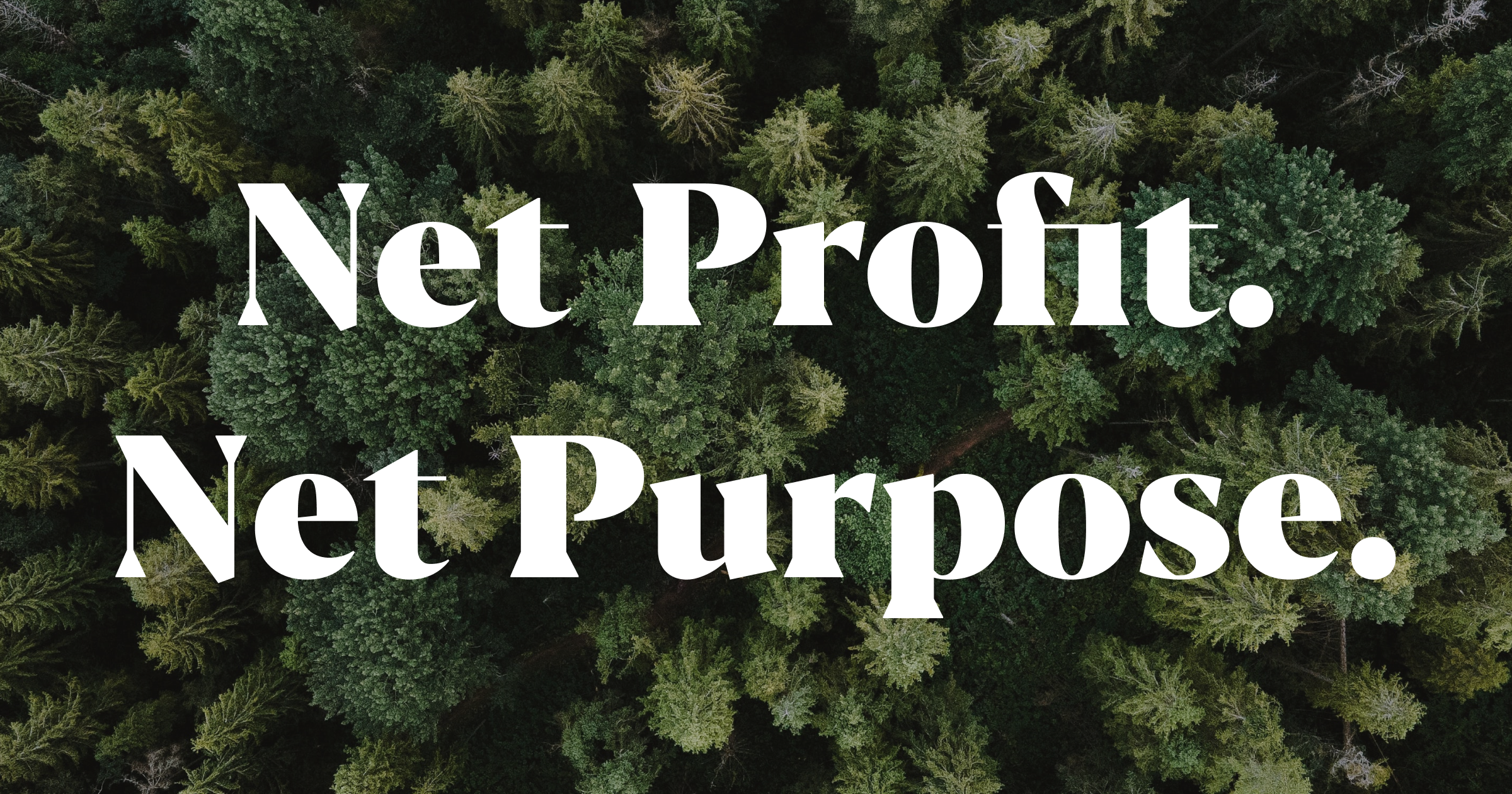 Net Purpose