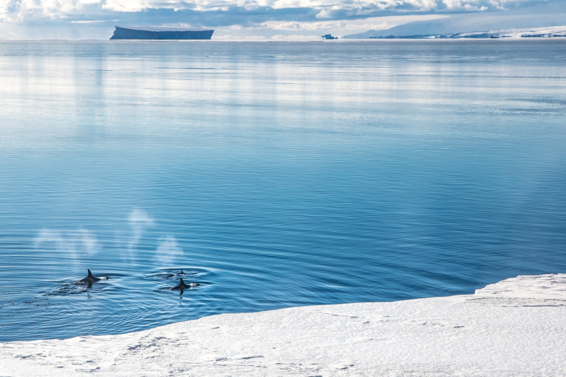 Ross Sea Antarctica | Cruise with Helicopters to the Ross Sea.