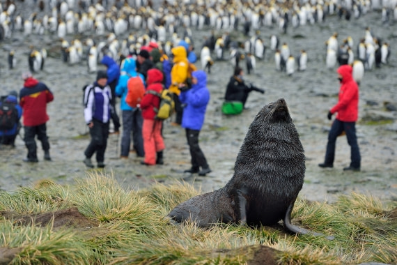Atlantic Odyssey, excl. Antarctic Peninsula | PLA32-26 | Oceanwide ...