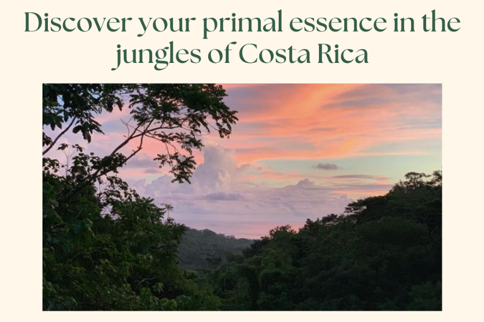 Megan Mathers Yoga Online Yoga for Self Empowerment, Growth & Healing