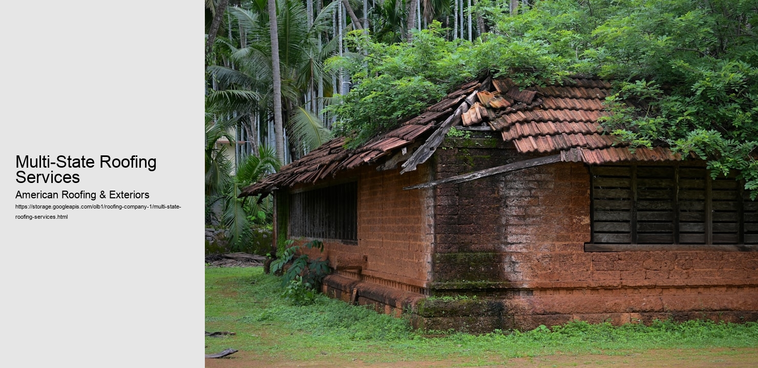 Multi-State Roofing Services