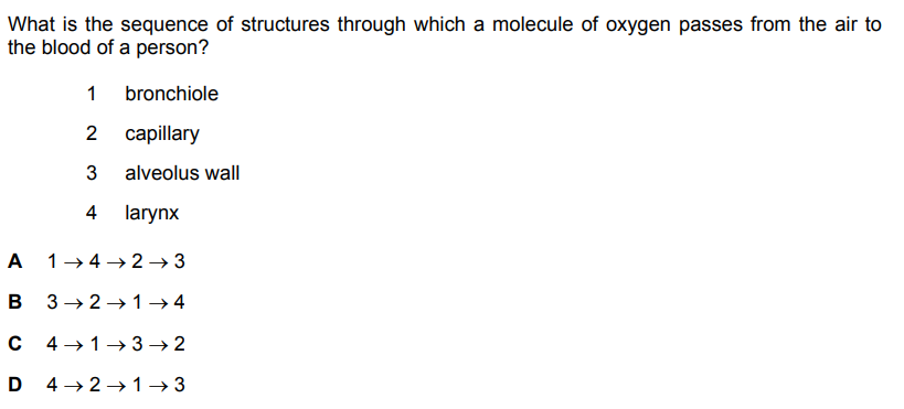 Gas exchange in humans Mega test – Olevels.Com
