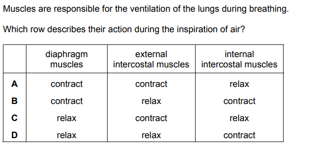 Gas exchange in humans Mega test – Olevels.Com
