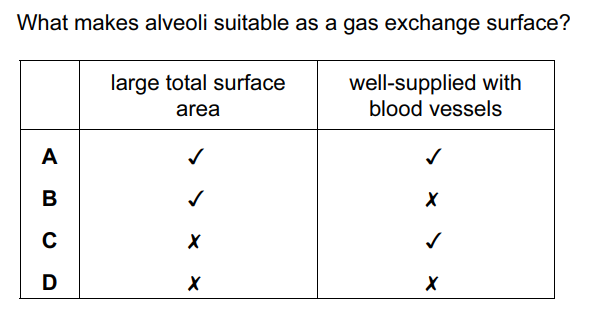 Gas exchange in humans Mega test – Olevels.Com