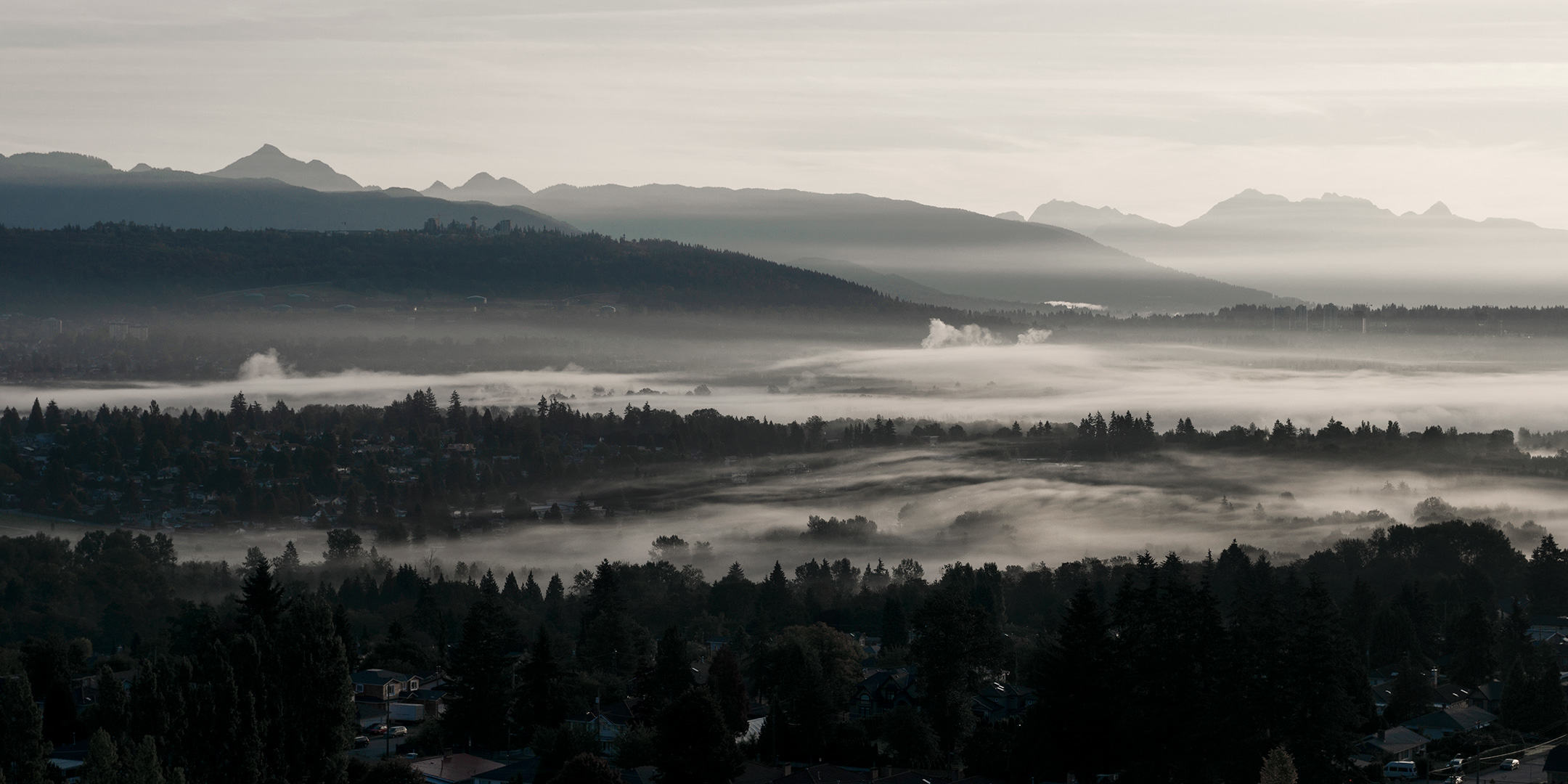 Foggy Suburbs [OC] : r/FoggyPics