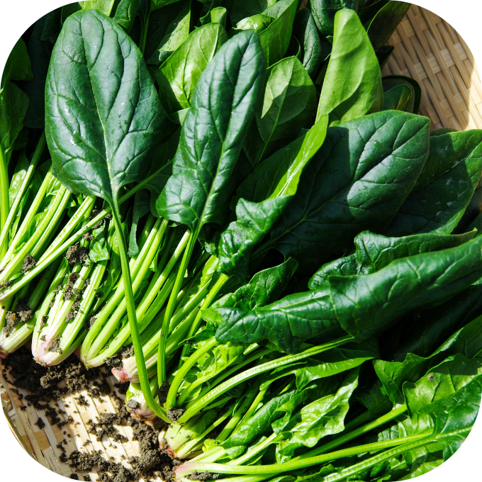 Rau xanh và những điều cần lưu ý để bảo quản chất dinh dưỡng - Chuỗi ...