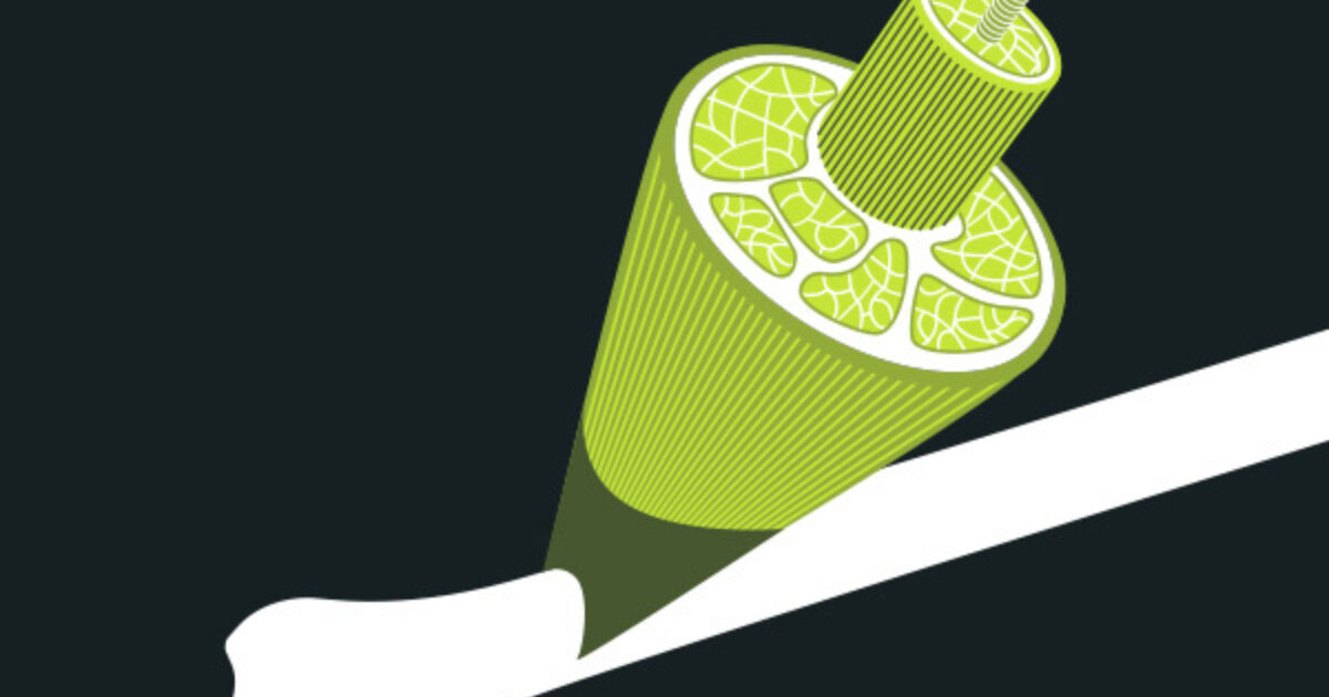 Was sind Faszien? Einfach und verständlich erklärt.