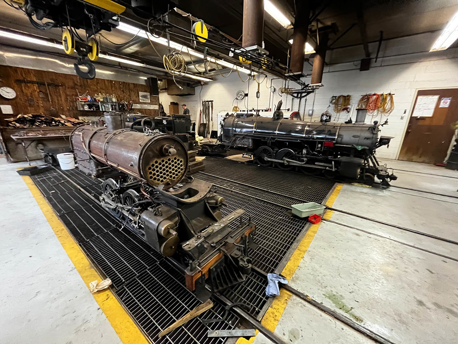 Go behind the scenes at Inside the Zoo this weekend