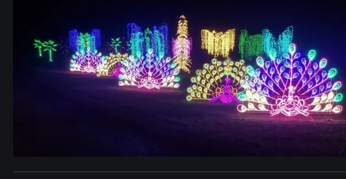 Scoop up your tickets for Winter Wonders