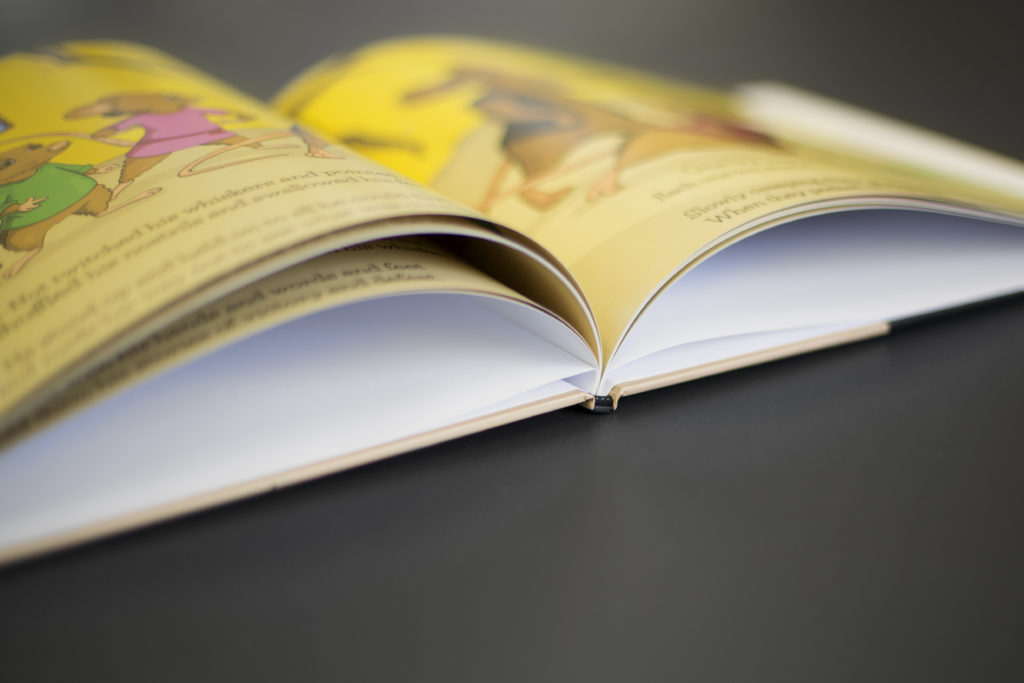 Interview with the "My Orms Story" Photobook Illustrator, Shân Fischer