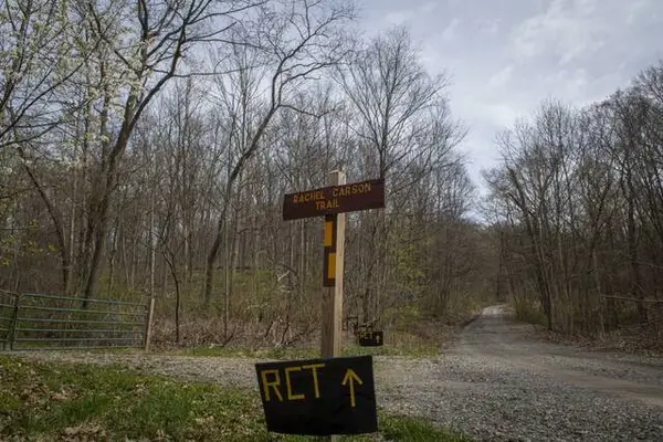 Rachel Carson Trail sees temporary detour in Springdale Township amid ...