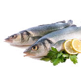 Риба и морски плодови - Paket.mk