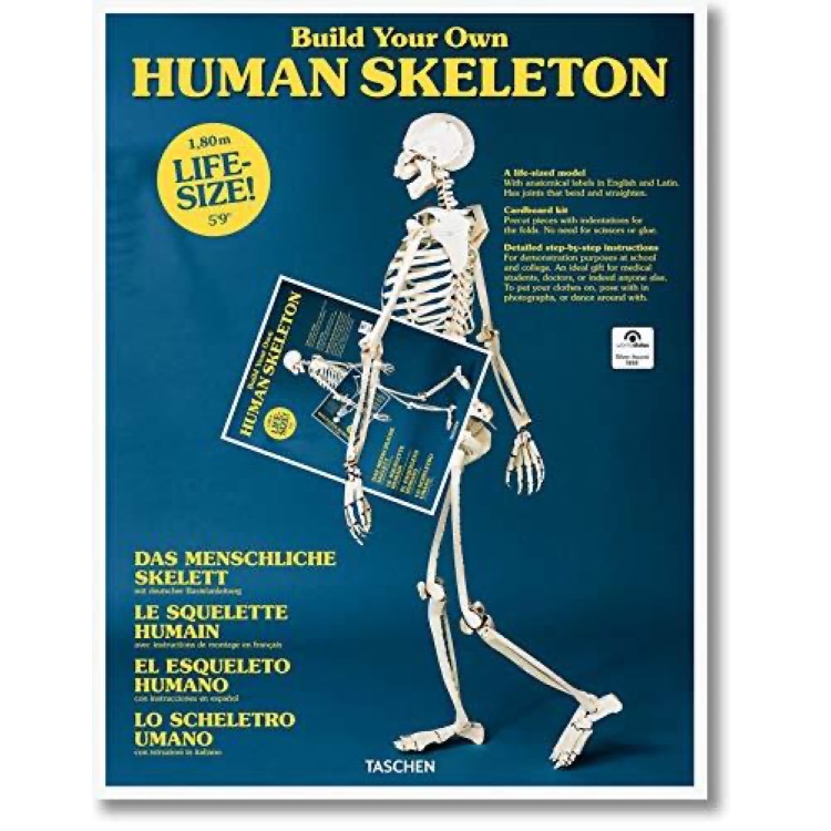 Build Your Own Human Skeleton ? Life Size! - Paket.mk