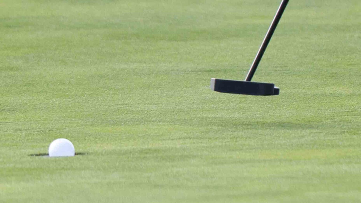 A cheat sheet to match different putters to your putting stroke