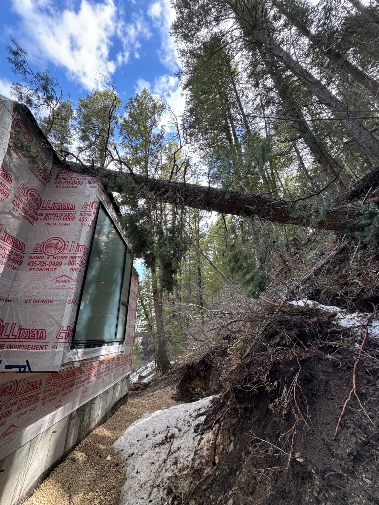 If a tree falls in a forest...