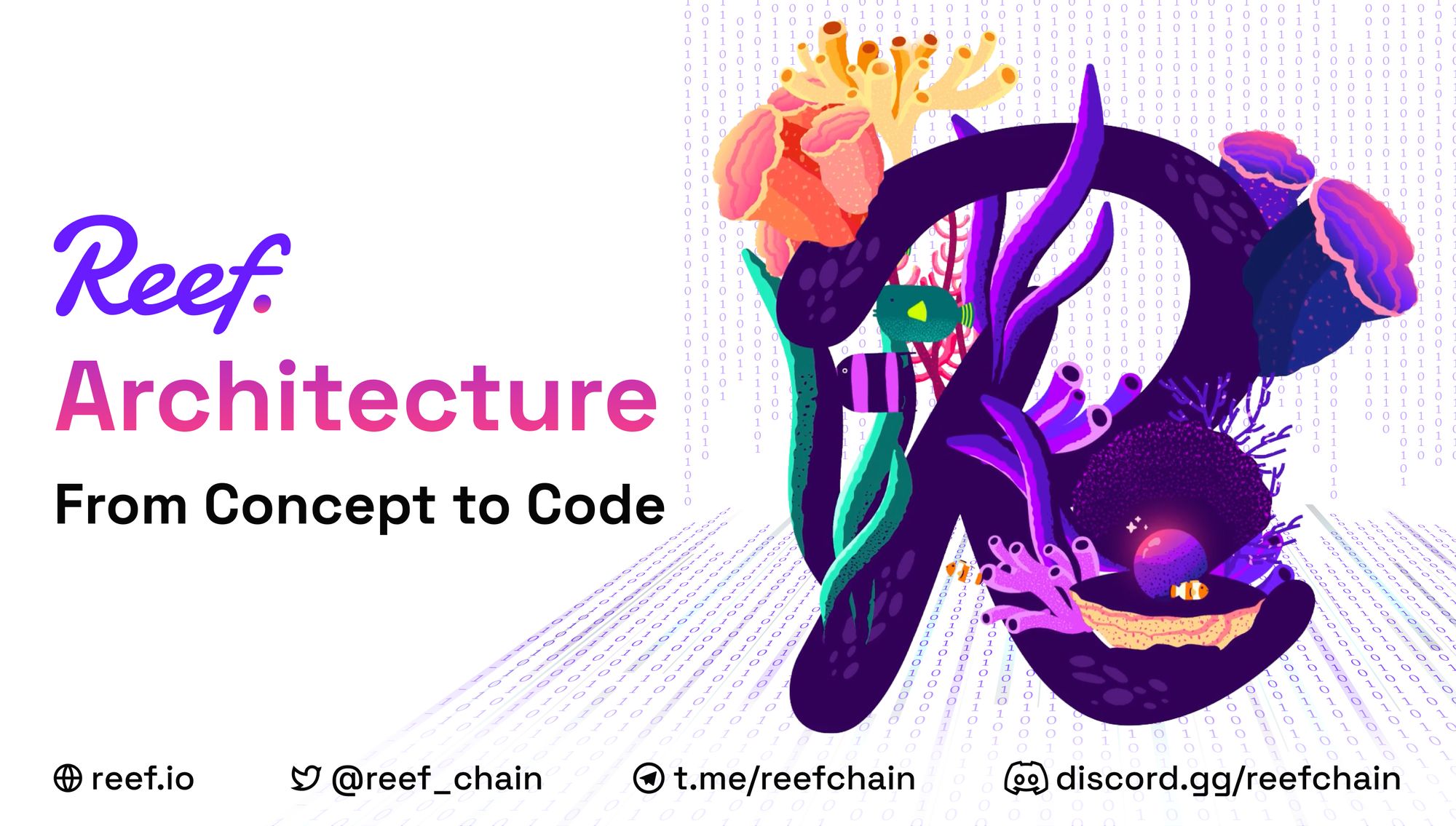 Understanding Reef Architecture: From Concept to Code and Beyond!