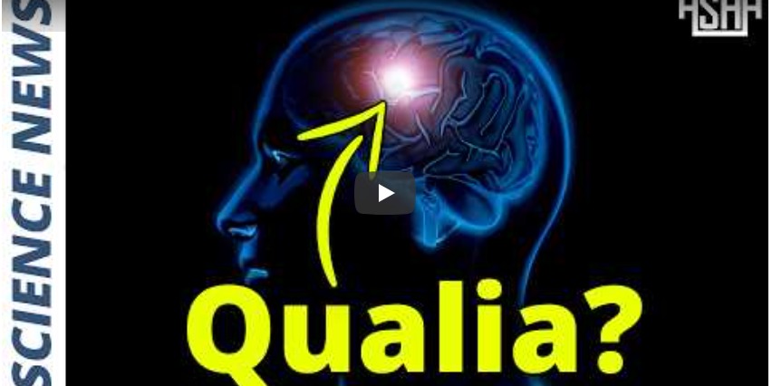 Philosophy Mondays: Qualia (Cont'd)