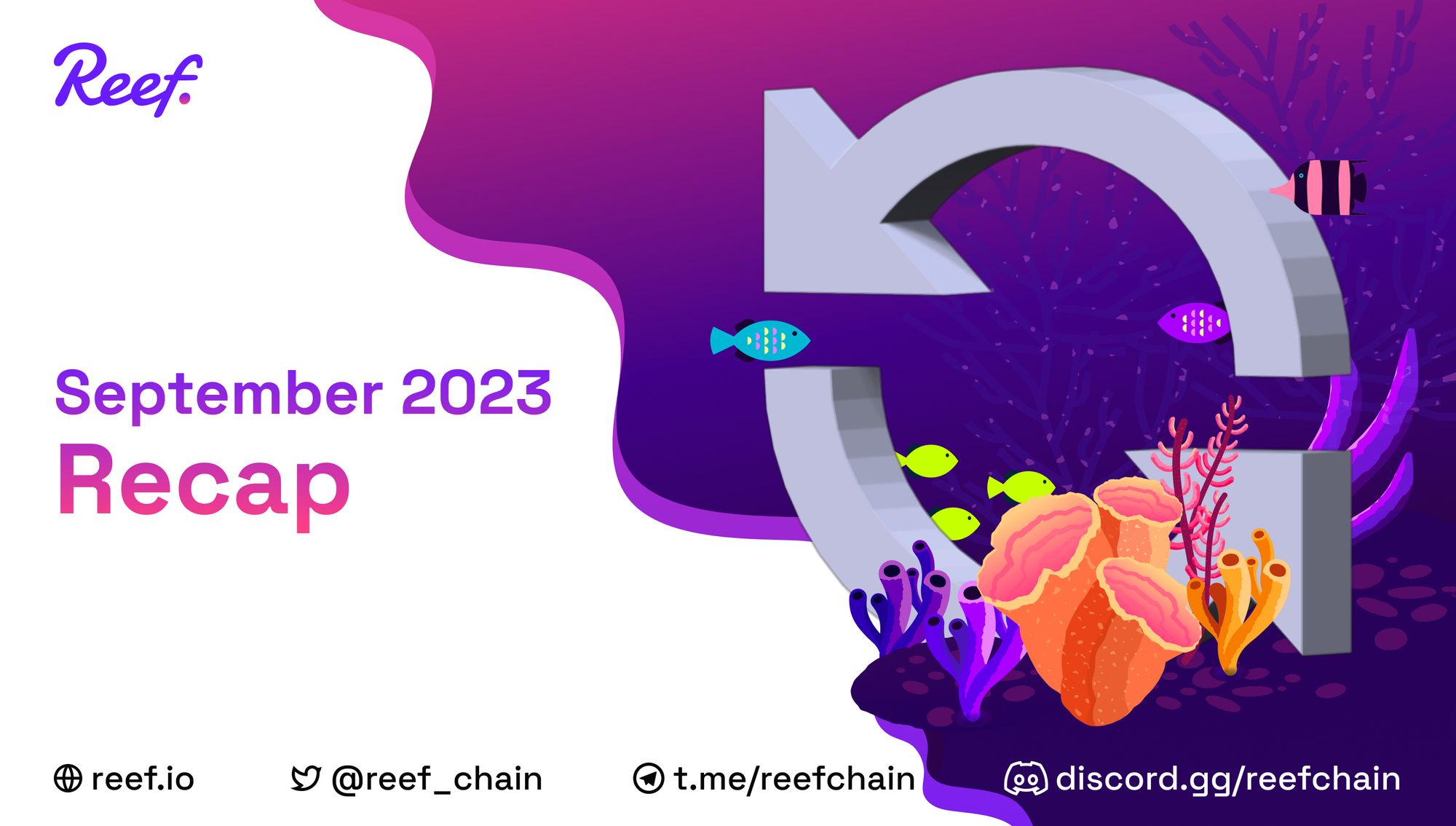 Reef September 2023 Recap