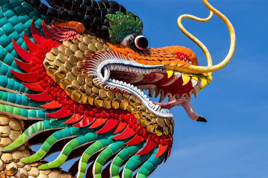 唐华斑竹 - Page 25