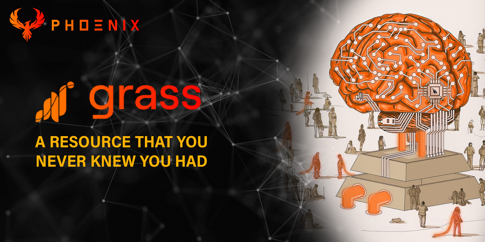 P H O Ξ N I X | Grass. Passive income for a resource you didn't know ...