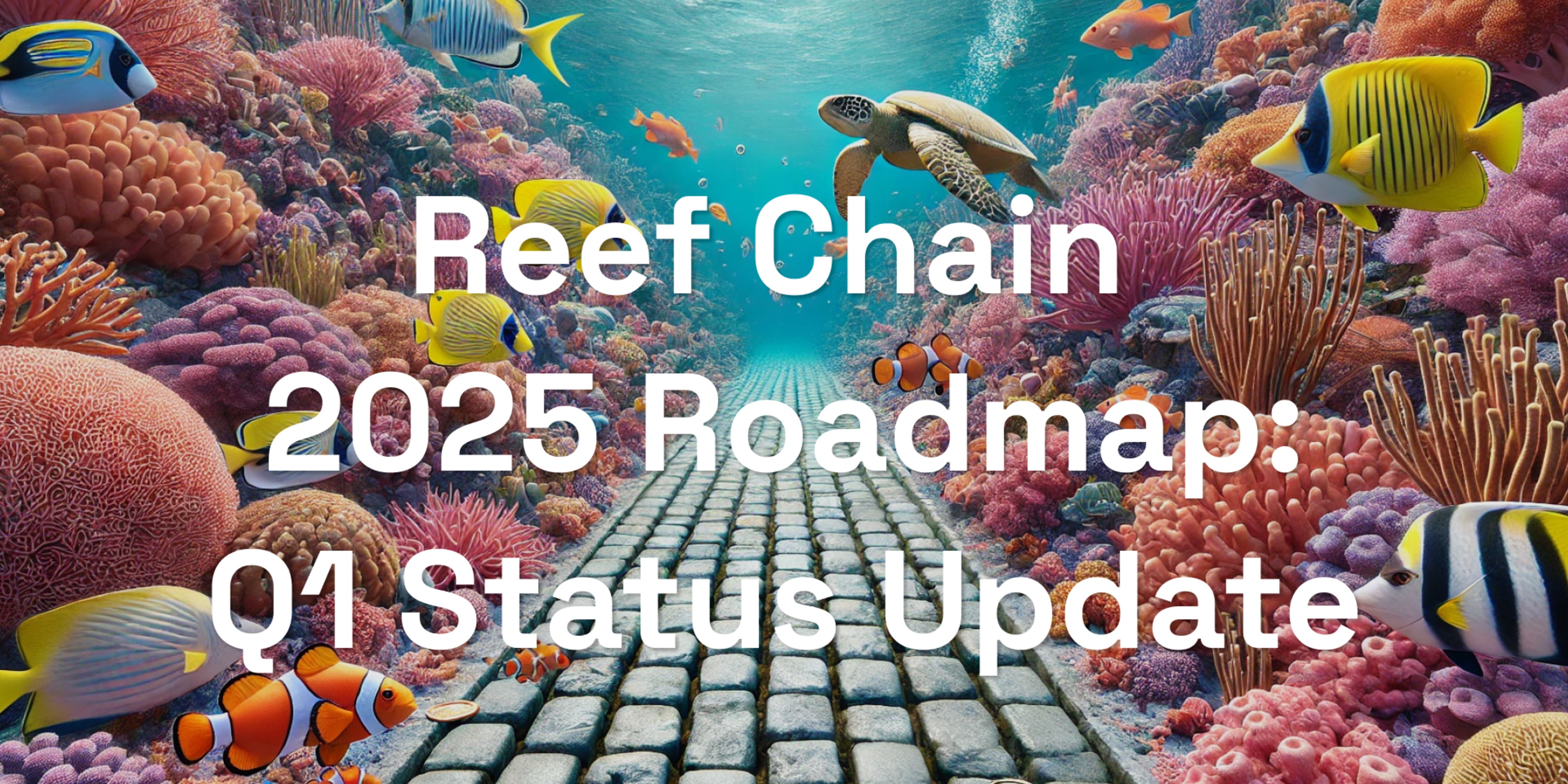 Reef 2025 Roadmap: Q1 Status Update