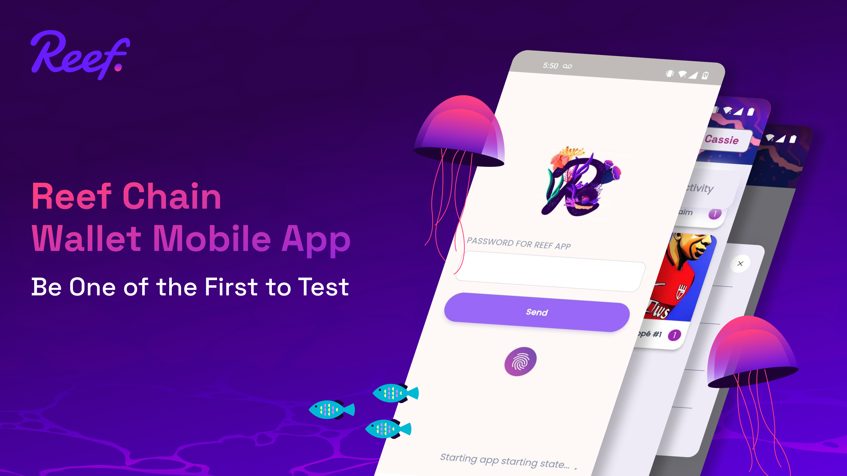 Reef Chain Wallet Mobile App Almost Ready to Launch 🚀 ! Be One of the ...