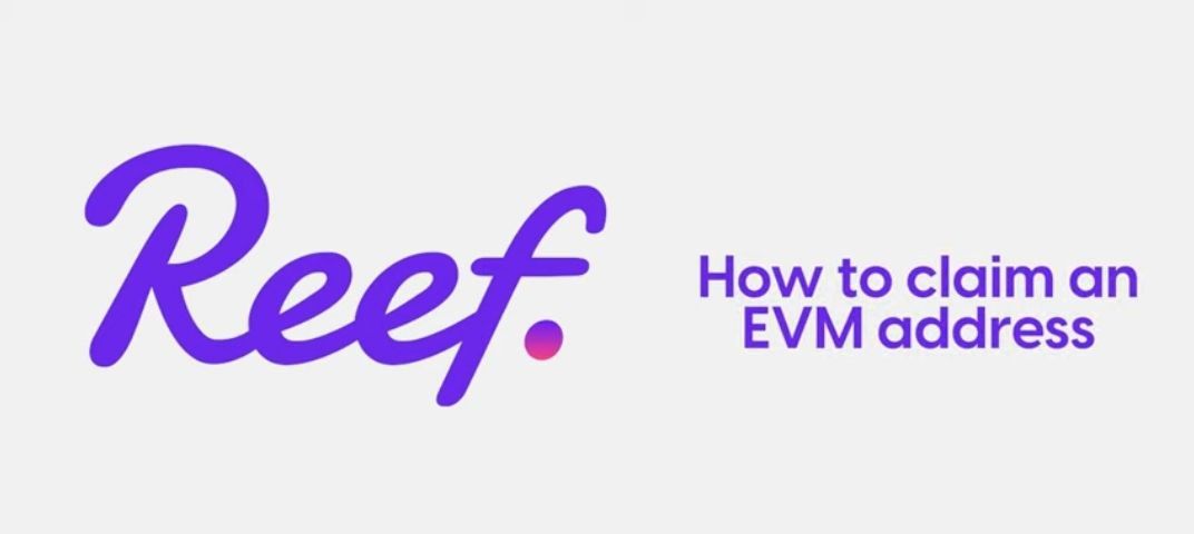 Reef dApp Academy: Binding an EVM Address