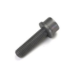 Torx Bolt (M6x25) Genuine BMW 07129905558