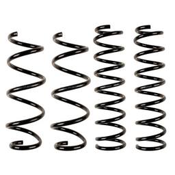 Coil Spring Set – Front and Rear (Heavy Duty Version for Standard ...