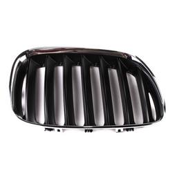 Kidney Grille – Front Passenger Side Genuine BMW 51137113734