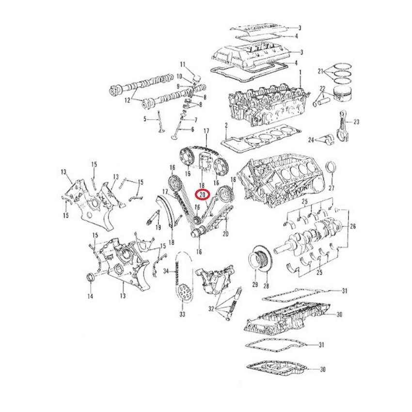 Bmw Timing Chain Parts at Bill Voigt blog