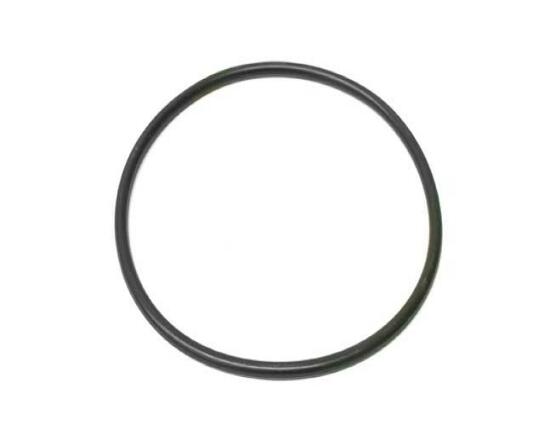 BMW Fuel Pump Tank Seal Genuine BMW 16117188567