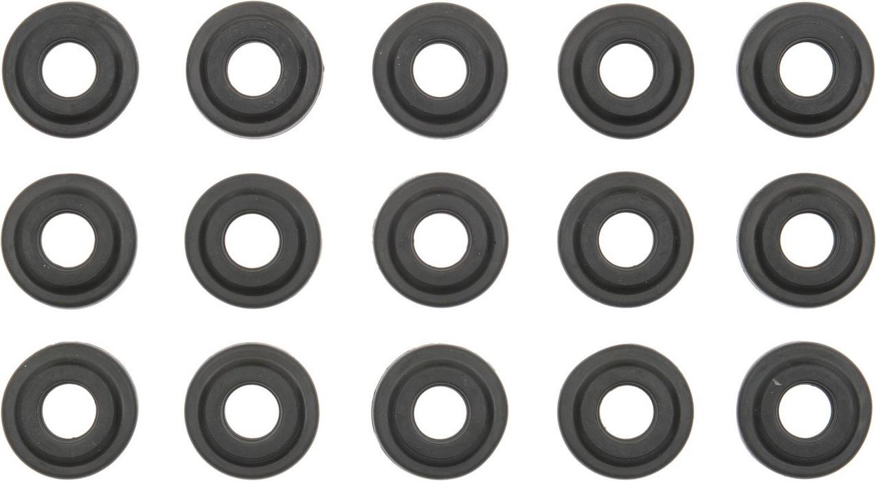 BMW Engine Valve Cover Grommet Set 15-33388-01 – Victor Reinz Victor ...