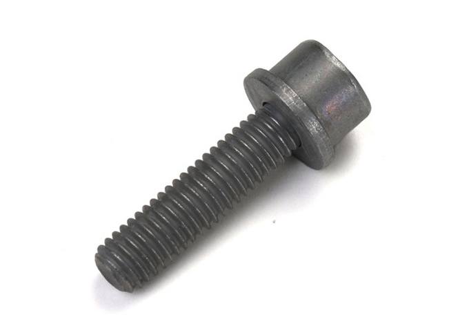 Torx Bolt (M6x25) Genuine BMW 07129905558