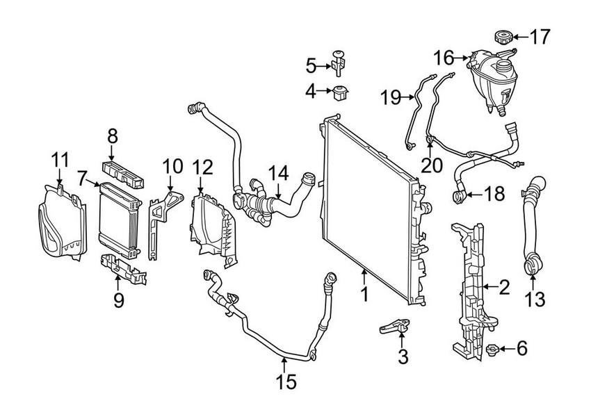 Mercedes Radiator Coolant Hose – Lower 2225014191 Genuine Mercedes-Benz ...