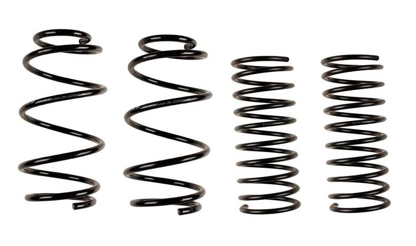 Coil Spring Kit – Front and Rear (Standard Suspension without Self ...