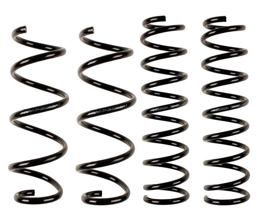 Coil Spring Set – Front and Rear (Heavy Duty Version for Standard ...