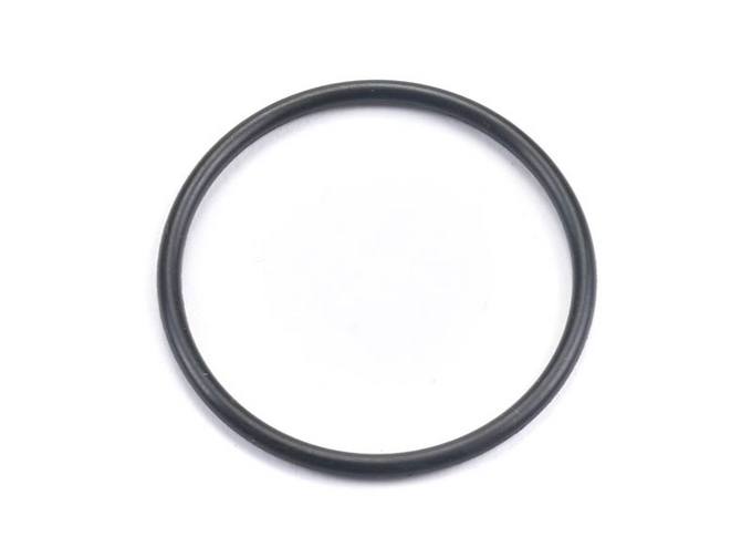 Audi Porsche Fuel Pump O-Ring WHT005184 – Victor Reinz 407759300 Victor ...