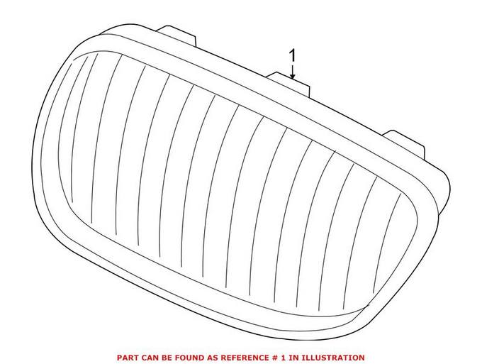 BMW Grille 51137179655 Genuine BMW 51137179655