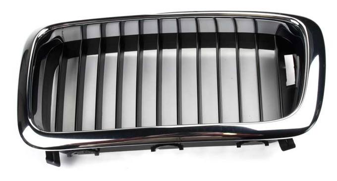 BMW Kidney Grille – Front Driver Side (Black) 51138125811 Genuine BMW ...
