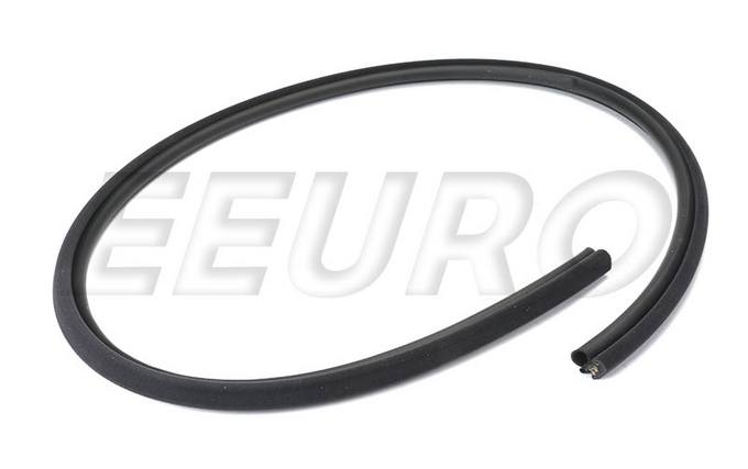 Door Seal – Front Driver Side Lower (Black) Genuine BMW 51722259791