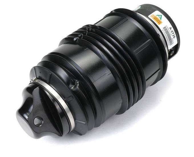 Mercedes Air Spring – Rear 211320122580 – Arnott A2725 Arnott ...