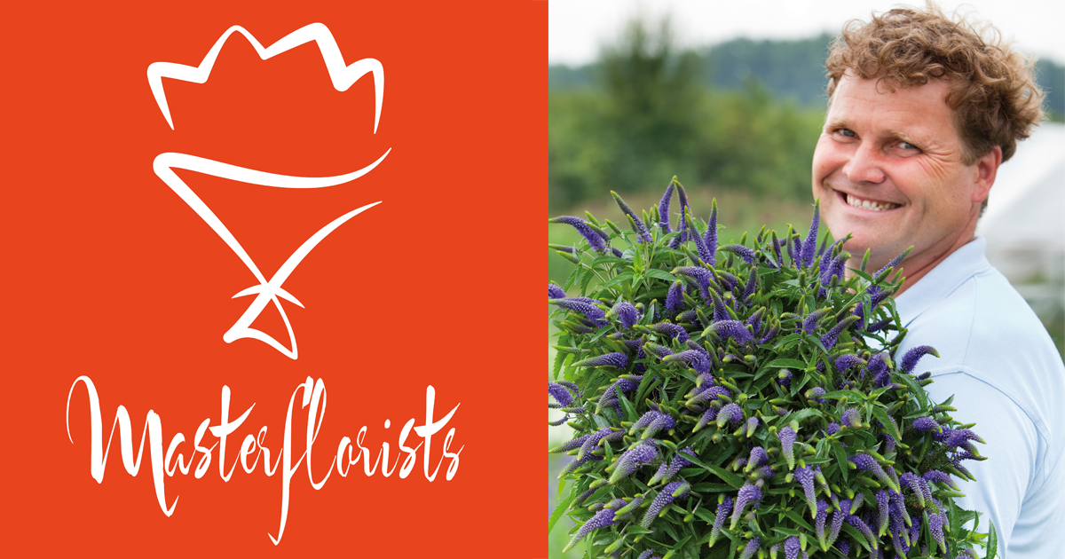 Fransen Roses - Details - Masterflorists