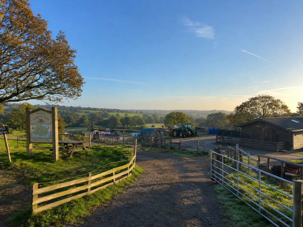 Farm Fun at Belmont Farm, London for £313.95 | Partyfer