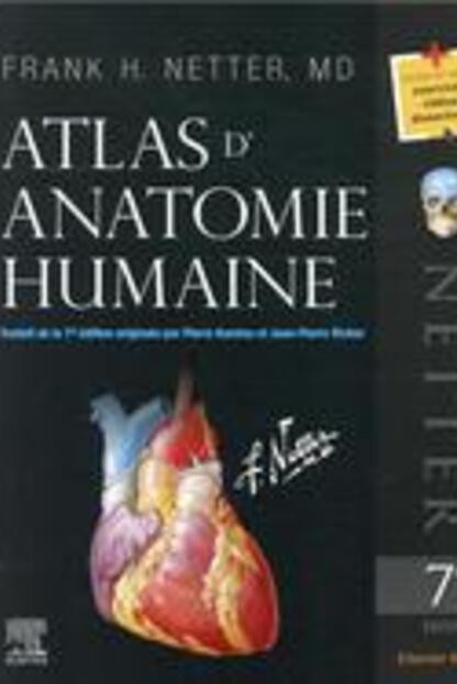 netter anatomie | pass Culture