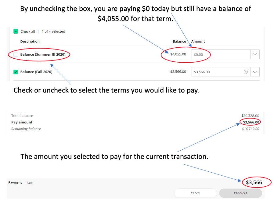 University of the Pacific
