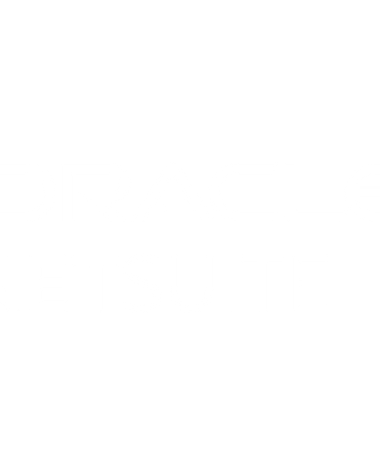 Netsuite Logo Transparent