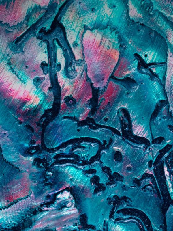 Evident - The Evident AI Insurance Index