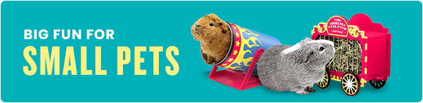 Small Pets | Pet Circle