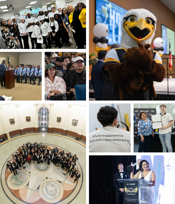 The Eagle Network - About